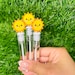 Sunshine Bubble, Sunshine Birthday Party Favors, Sunshine Wands ...