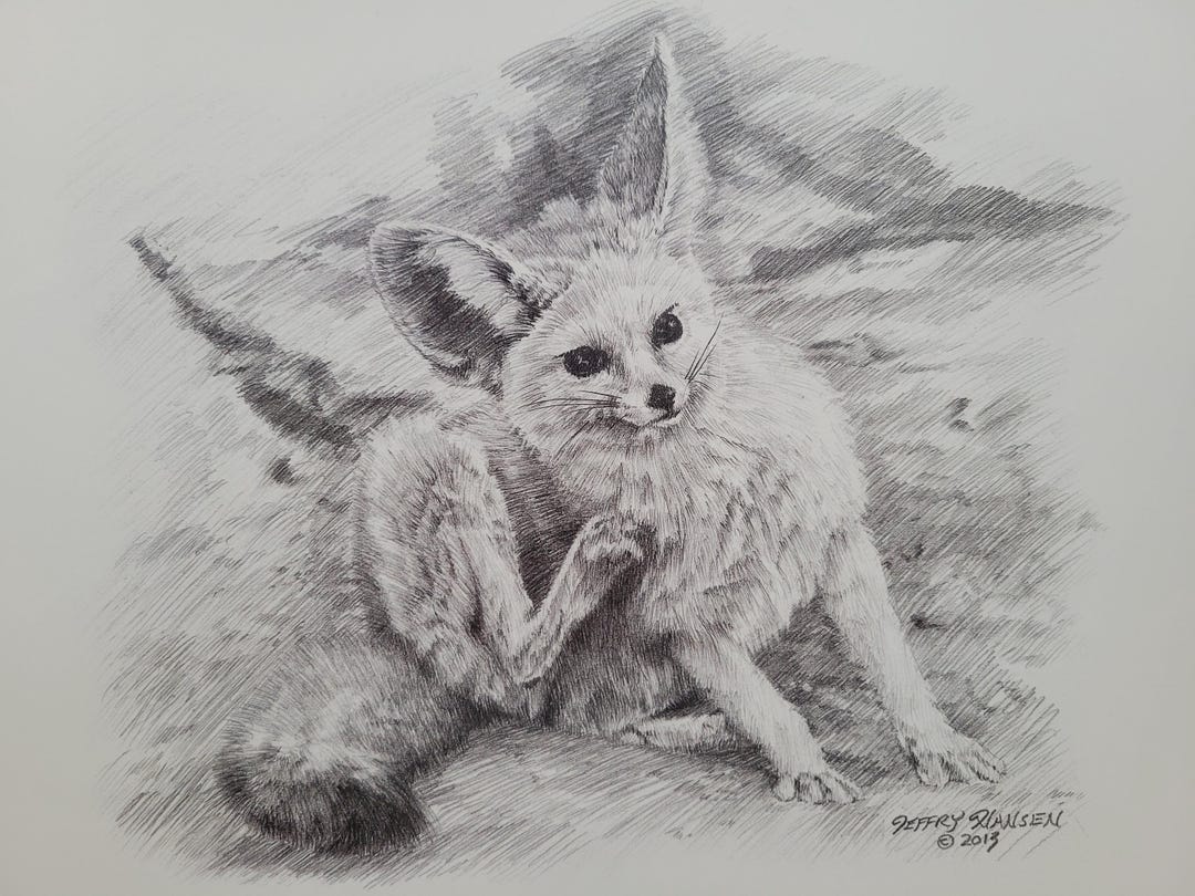 Fennec Fox Pencil Print - Etsy
