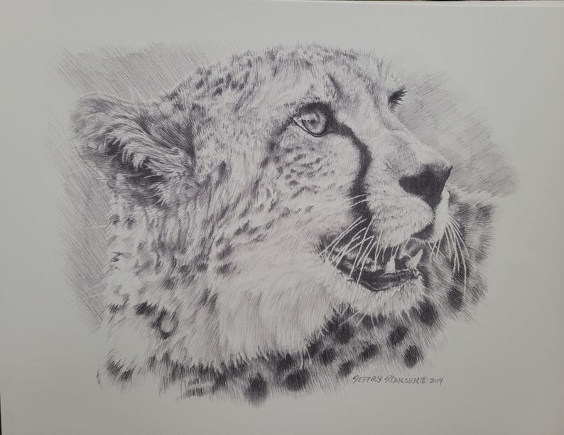 Cheetah Pencil Print - Etsy
