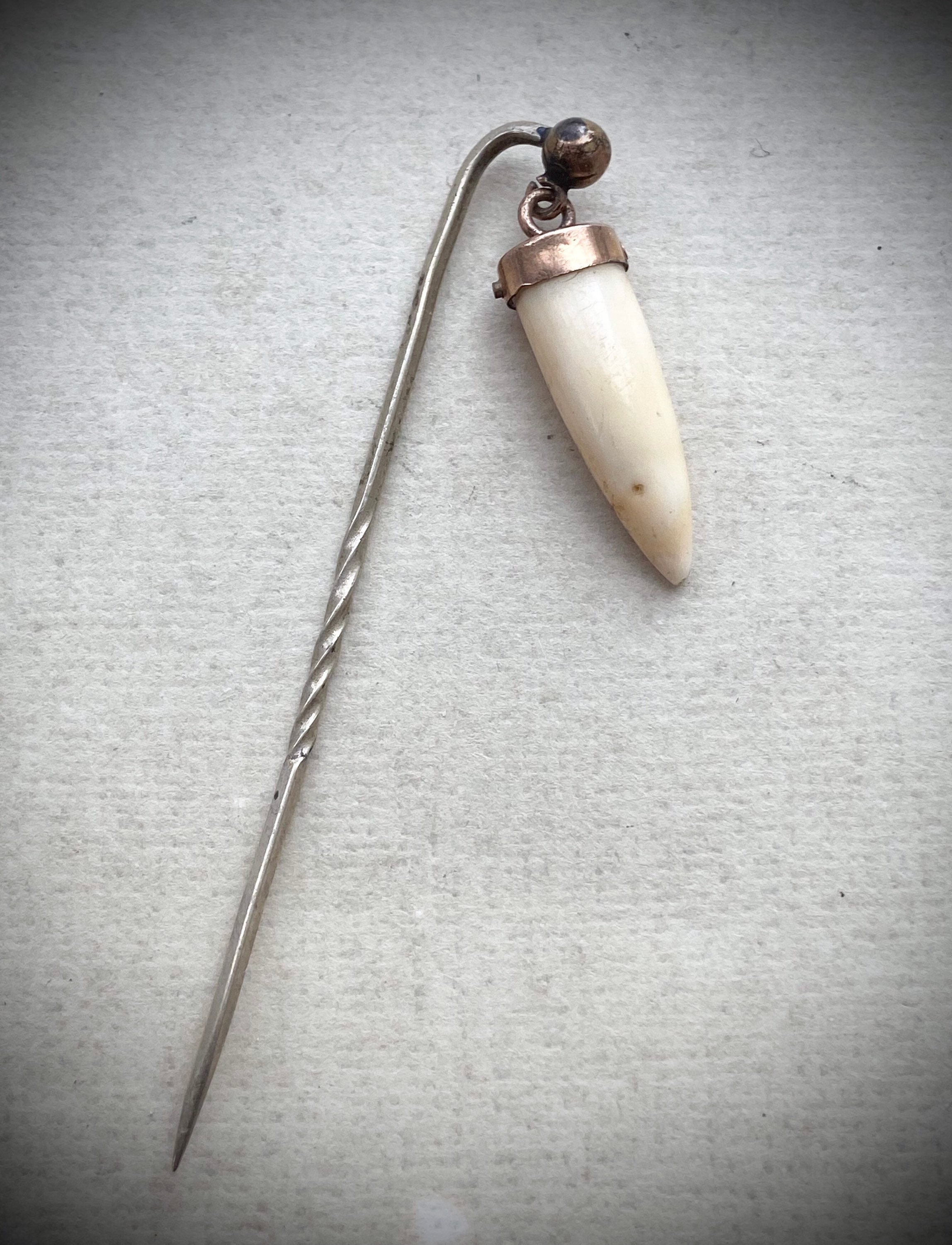 Antique Victorian British Raj Hunting Trophy Tooth Stick Pin Brooch ...