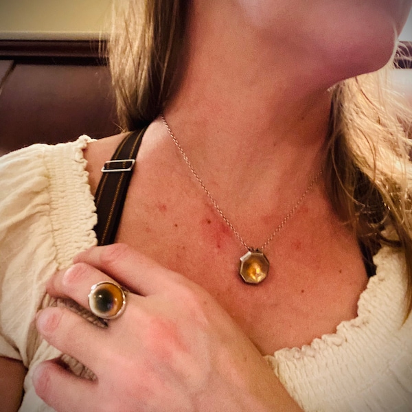 Operculum Shell - Etsy