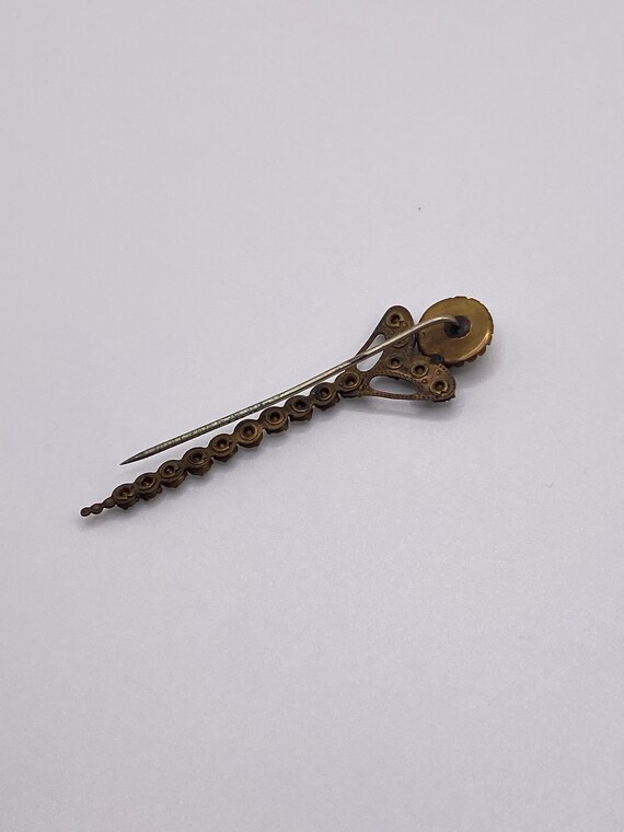 Large Antique Halley's Comet Paste and Operculum Broo… - Gem