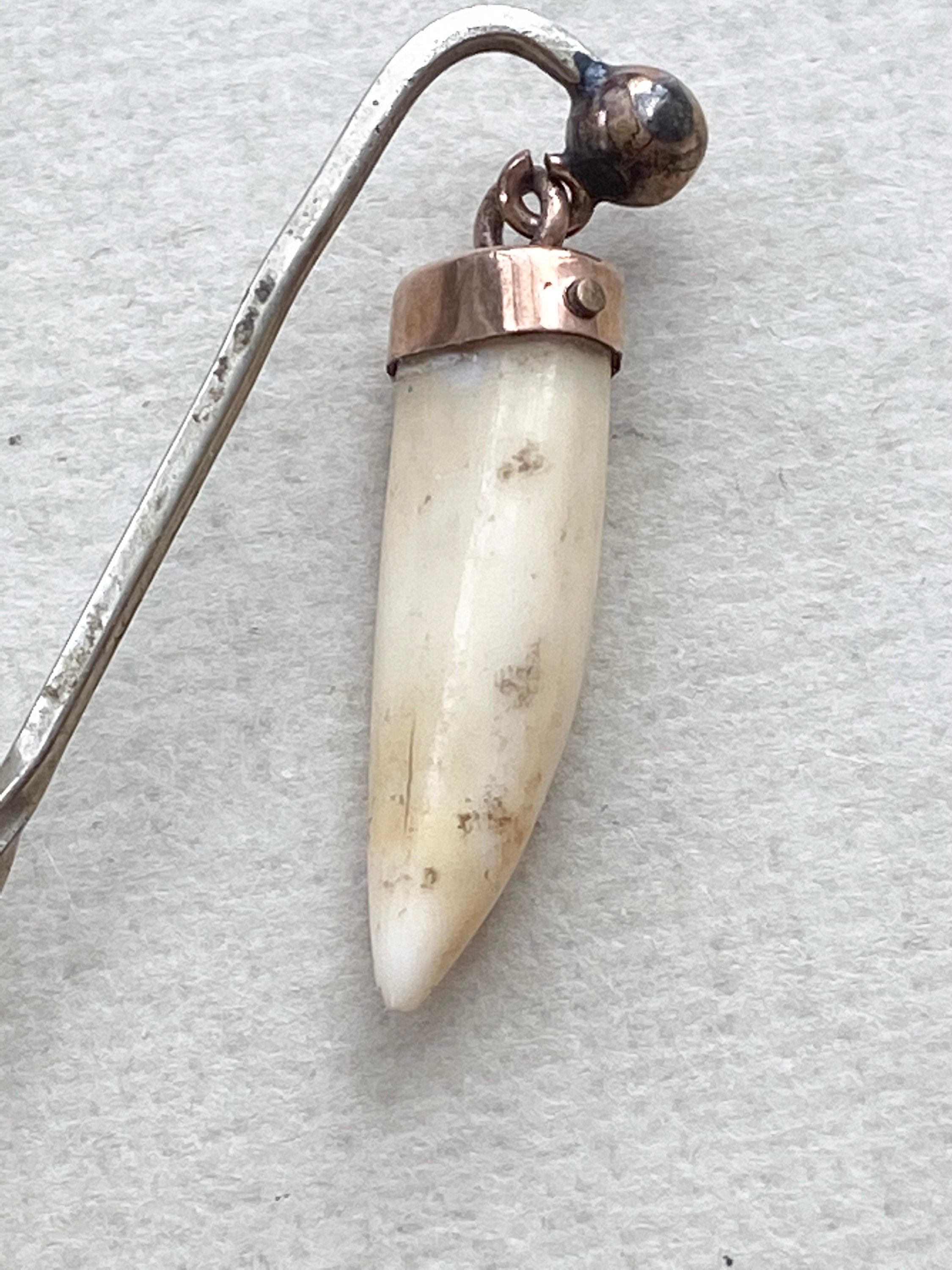 Antique Victorian British Raj Hunting Trophy Tooth Stick Pin Brooch ...