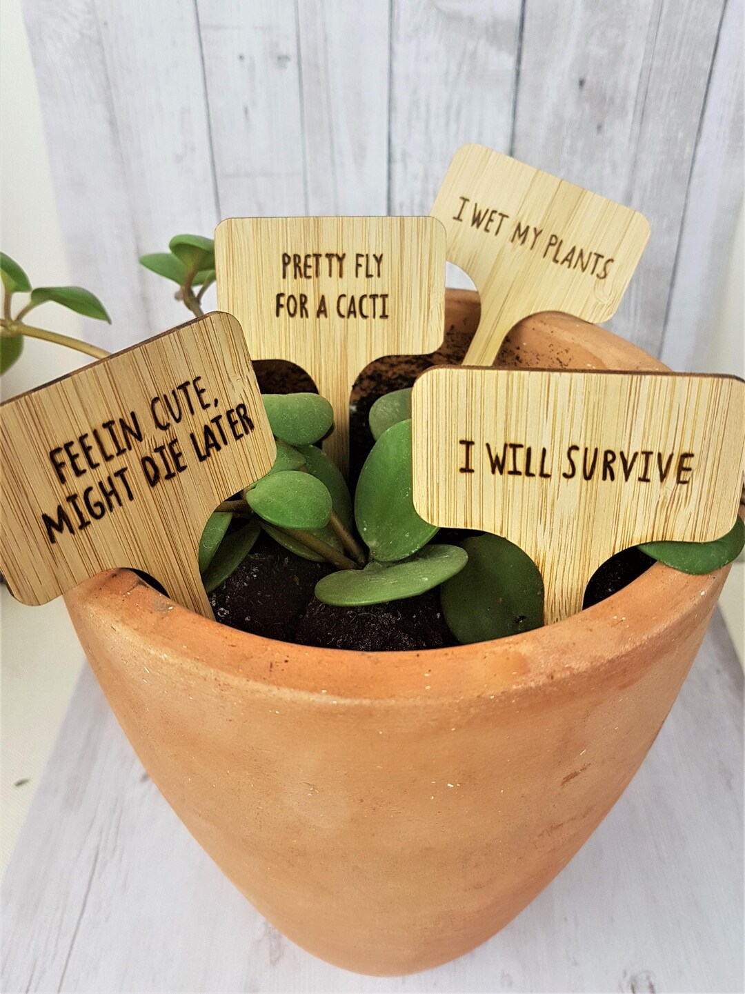Custom Plant Pokes, Funny Wooden Garden Marker, Pun Gift - Etsy