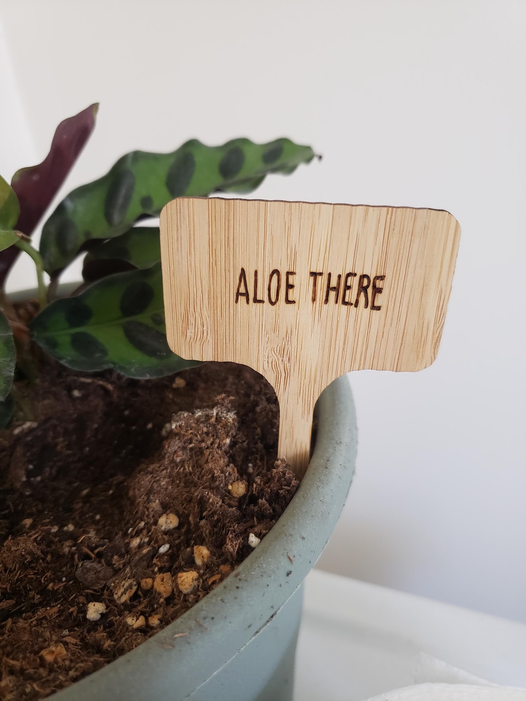 Funny Plant Sign, Custom Wood Garden Marker, Potted Plant Tag - Etsy