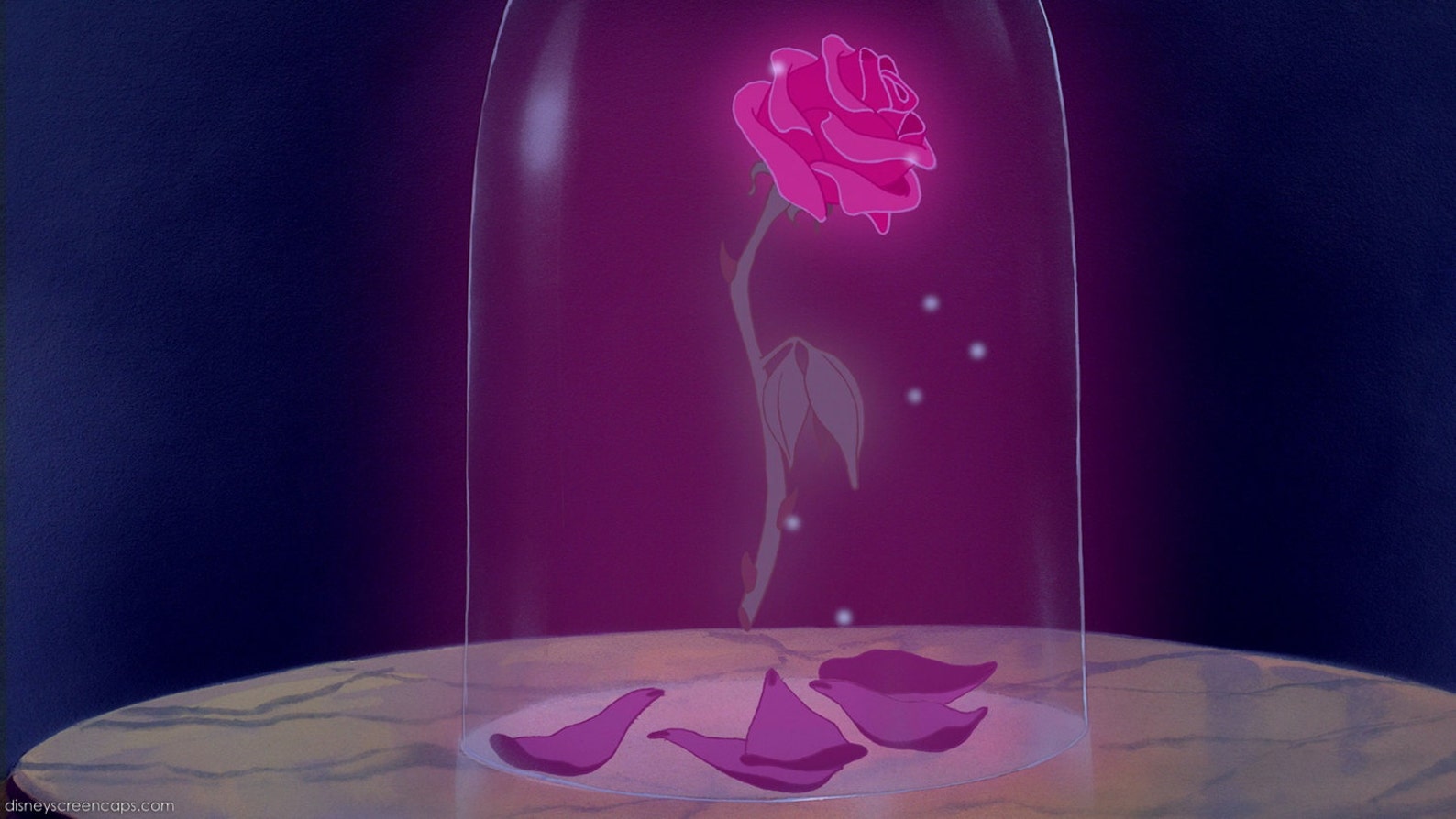 Life Size Replica Beauty and the Beast Enchanted Floating Rose | Etsy