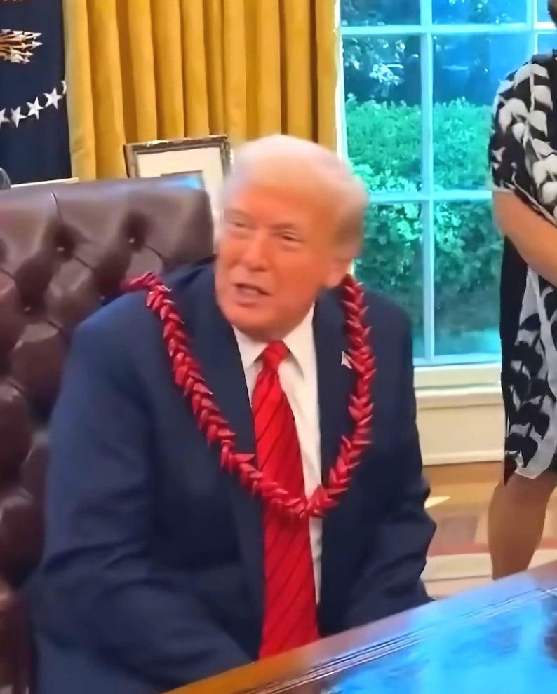 Ula Fala Roman Reigns Usos the Rock Bloodline Wrestling Based - Etsy