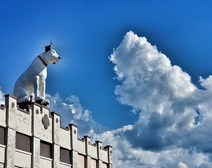 Nipper, Albany New York Fine Art Print - Etsy