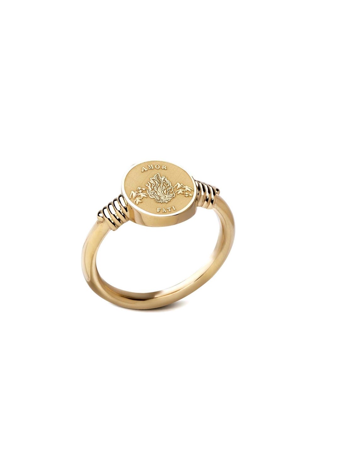 Sterling Silver Amor Fati Signet Ring: Latin Quote Philosophy Jewelry ...