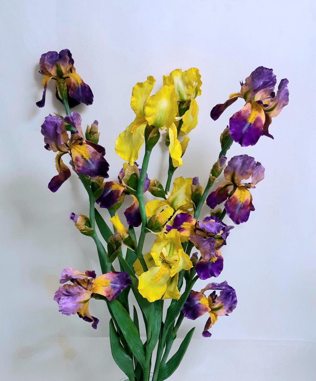 Cold Porcelain Iris. Set of 3 - Etsy