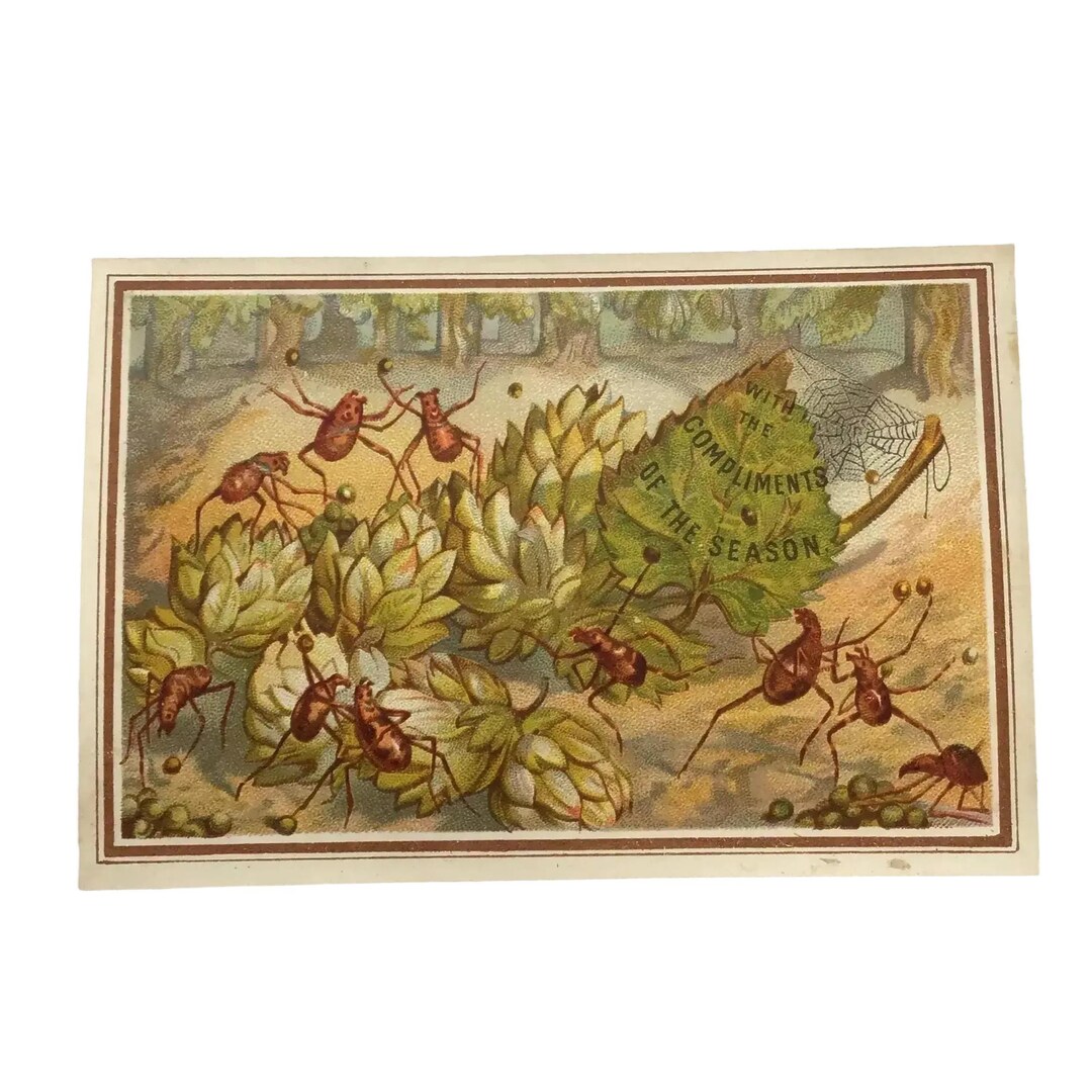 Antique Victorian Bug Card – Insect Harvest Scene – Fantasy ...