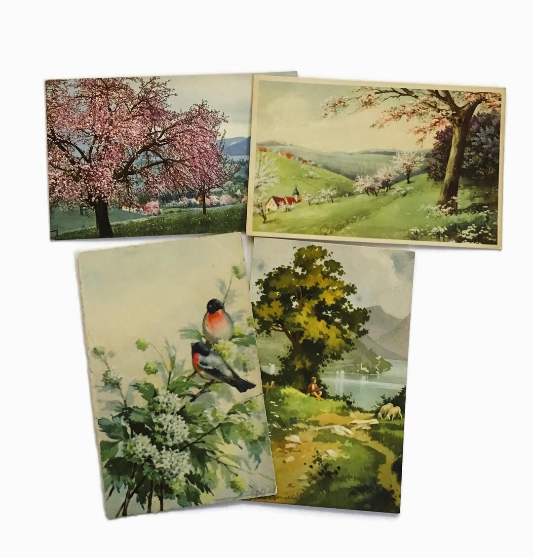 Set of 4 Vintage Spring Landscape Postcards – Blooming Trees, Birds ...