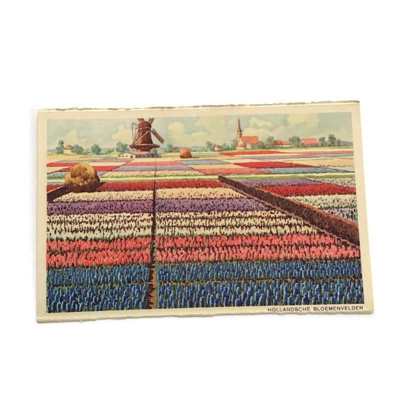 Dutch Postcard - Etsy