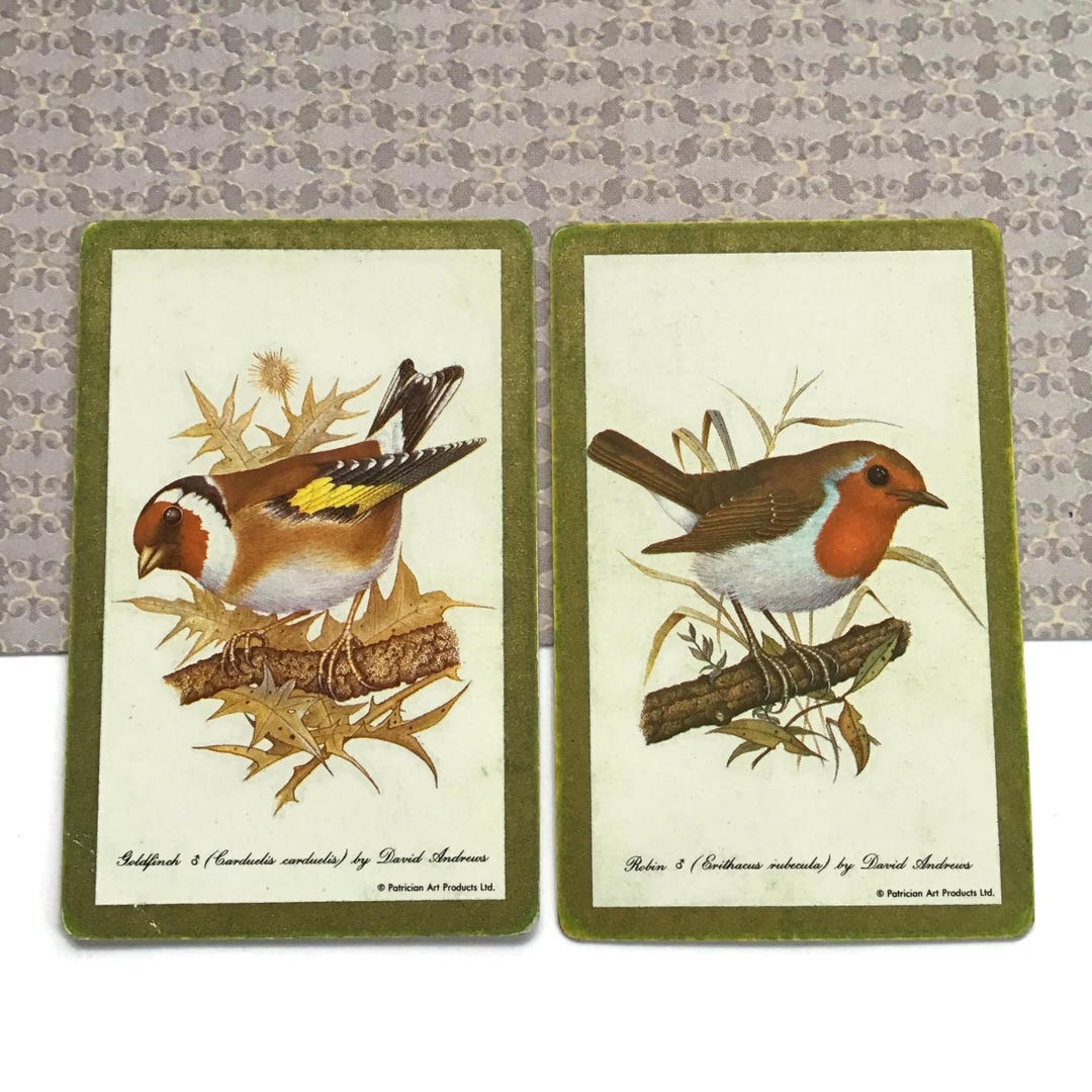 Goldfinch and Robin Playing Cards Pair, Olive Borders, C.1970s–80s - Etsy