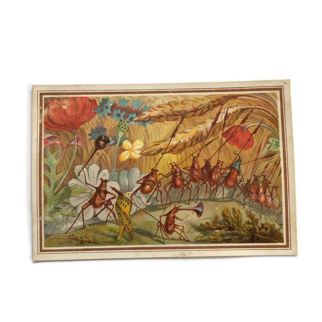 Victorian Bug Parade Card – Antique Chromolithograph Insect Scene ...