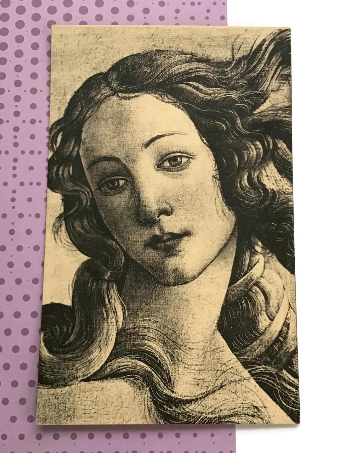 Botticelli Venus Head Art Postcard C.1910s–1920s - Etsy