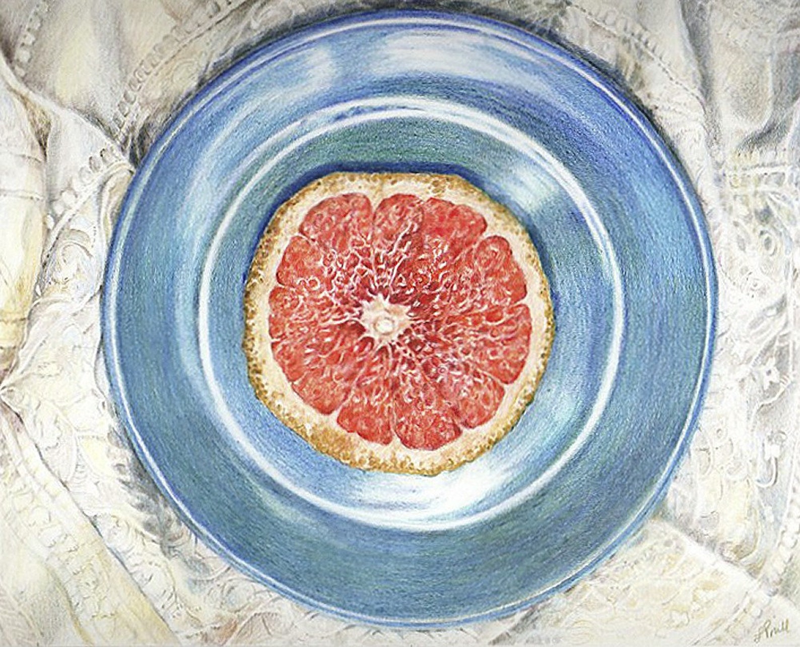 Grapefruit Drawing- Original Colored Pencil Art- Photo Realistic- Pink ...