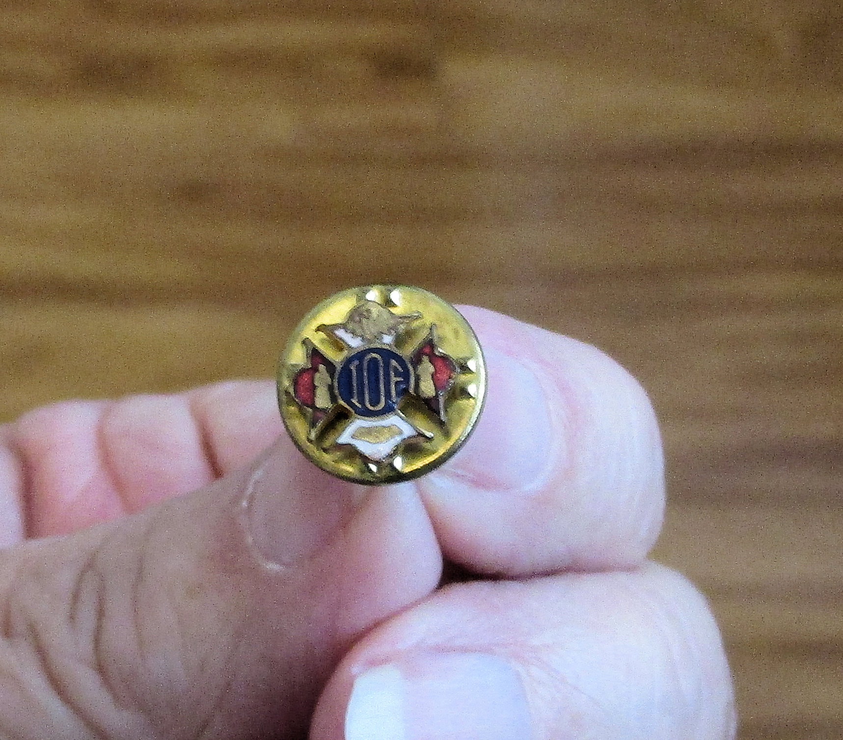 Independent ORDER of FORESTERS Lapel Pin or Tie Tack, IOF Pin - Etsy