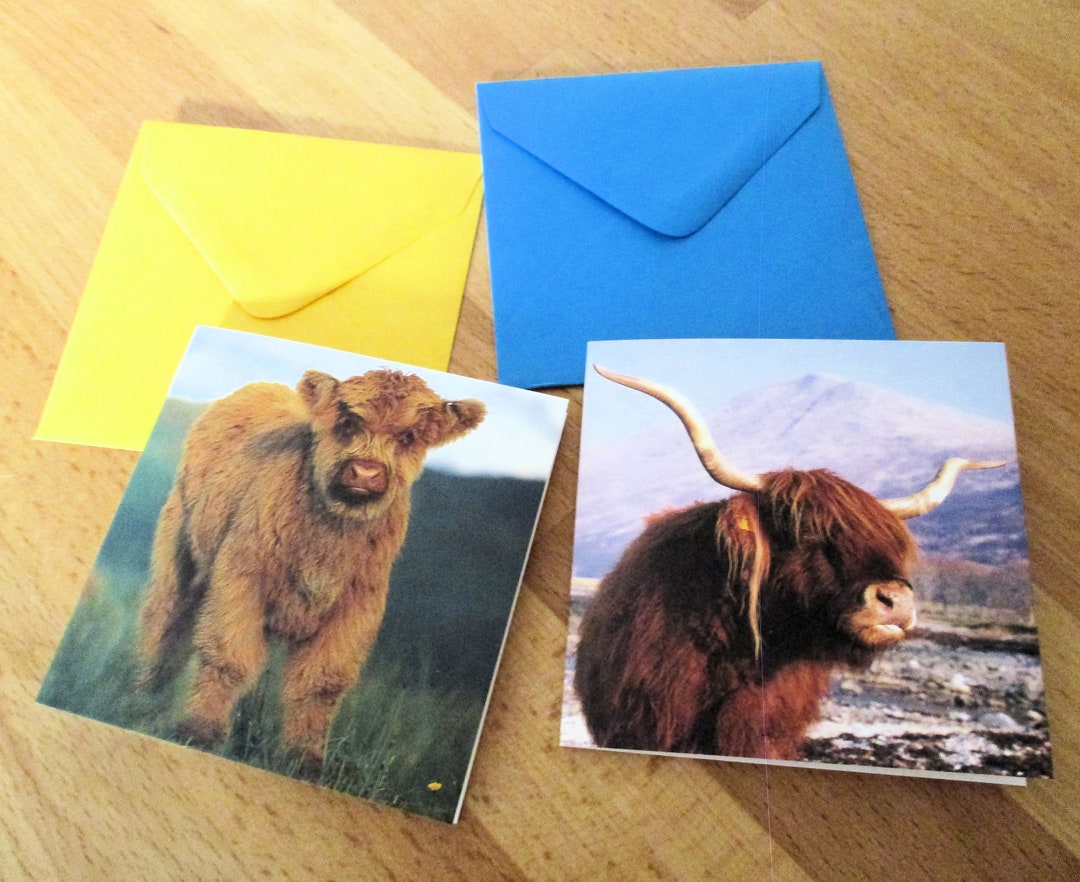 HIGHLAND COWS Greeting Cards for Writing or Crafting, Set of 2 Cards - Etsy