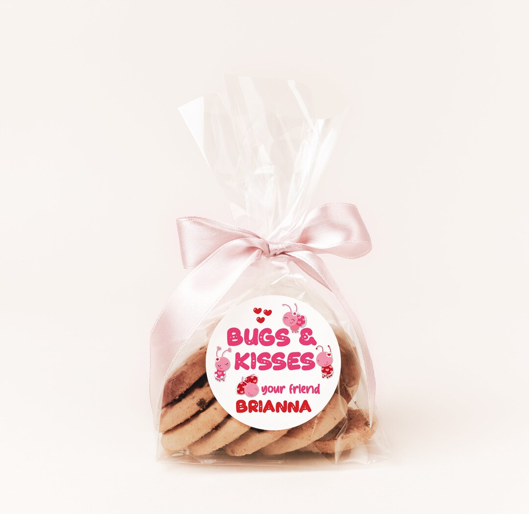 Bugs & Kisses Valentines Day Stickers Personalized Love Bug Valentine ...