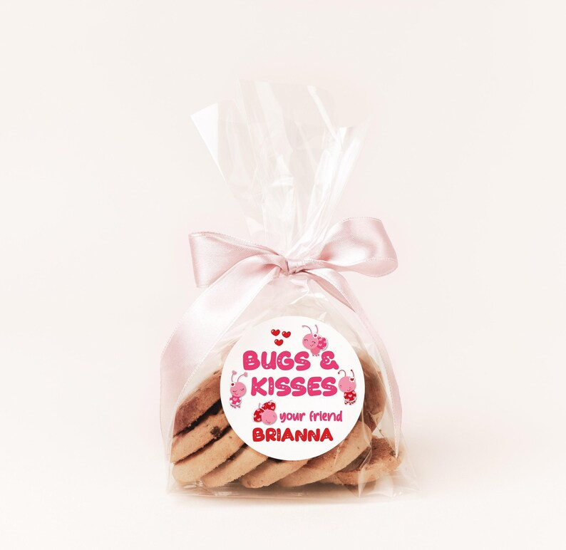 Bugs & Kisses Valentines Day Stickers - Personalized Love Bug Valentine ...