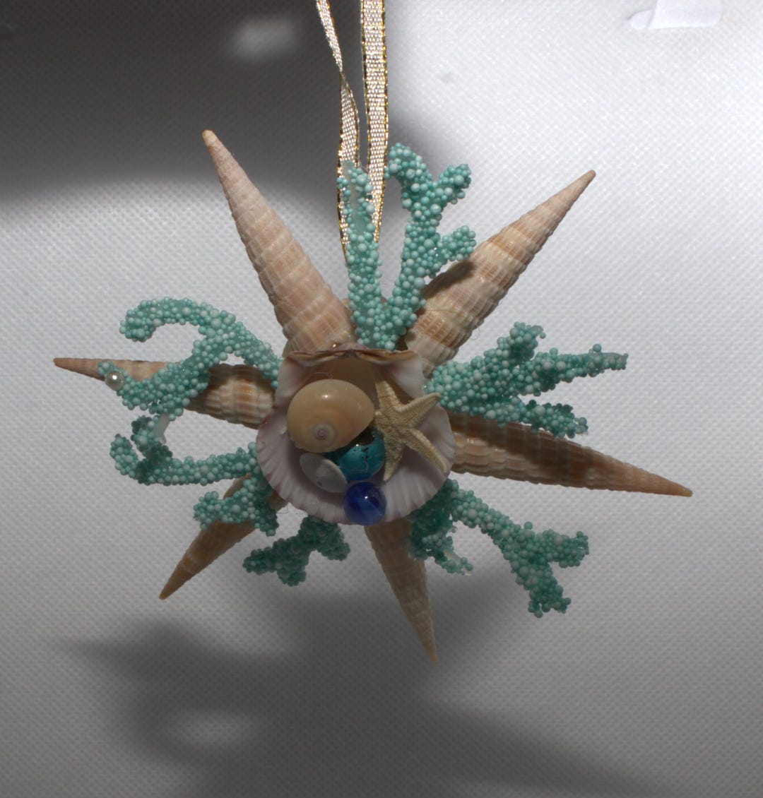 Auger Seashell Star With Light Blue Coral, Seashells - Etsy