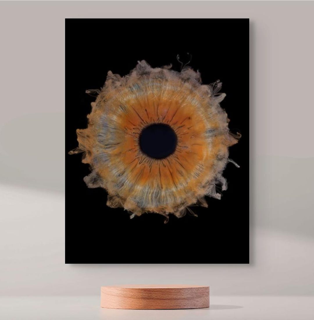 Custom Premium Acrylic Print | Iris Particles Flow From Your Photo ...