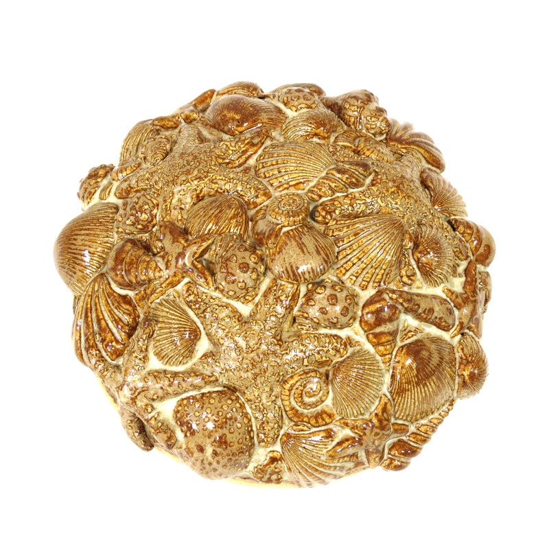 Seashell Pottery - Etsy