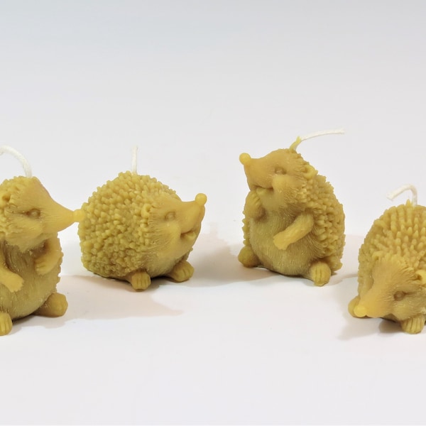 Cute Hedgehog - Etsy