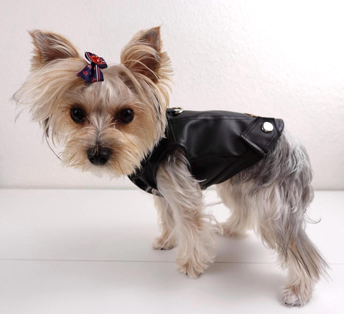 Trendy Faux Leather Dog Jacket – Handmade Rockstar Outfit for Stylish ...