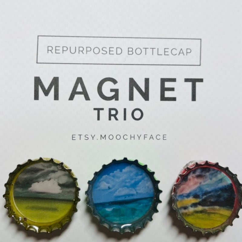 Beer Cap Magnets - Etsy