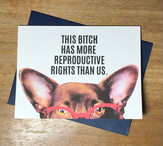Reproductive Rights Card blank Inside and Corresponding - Etsy