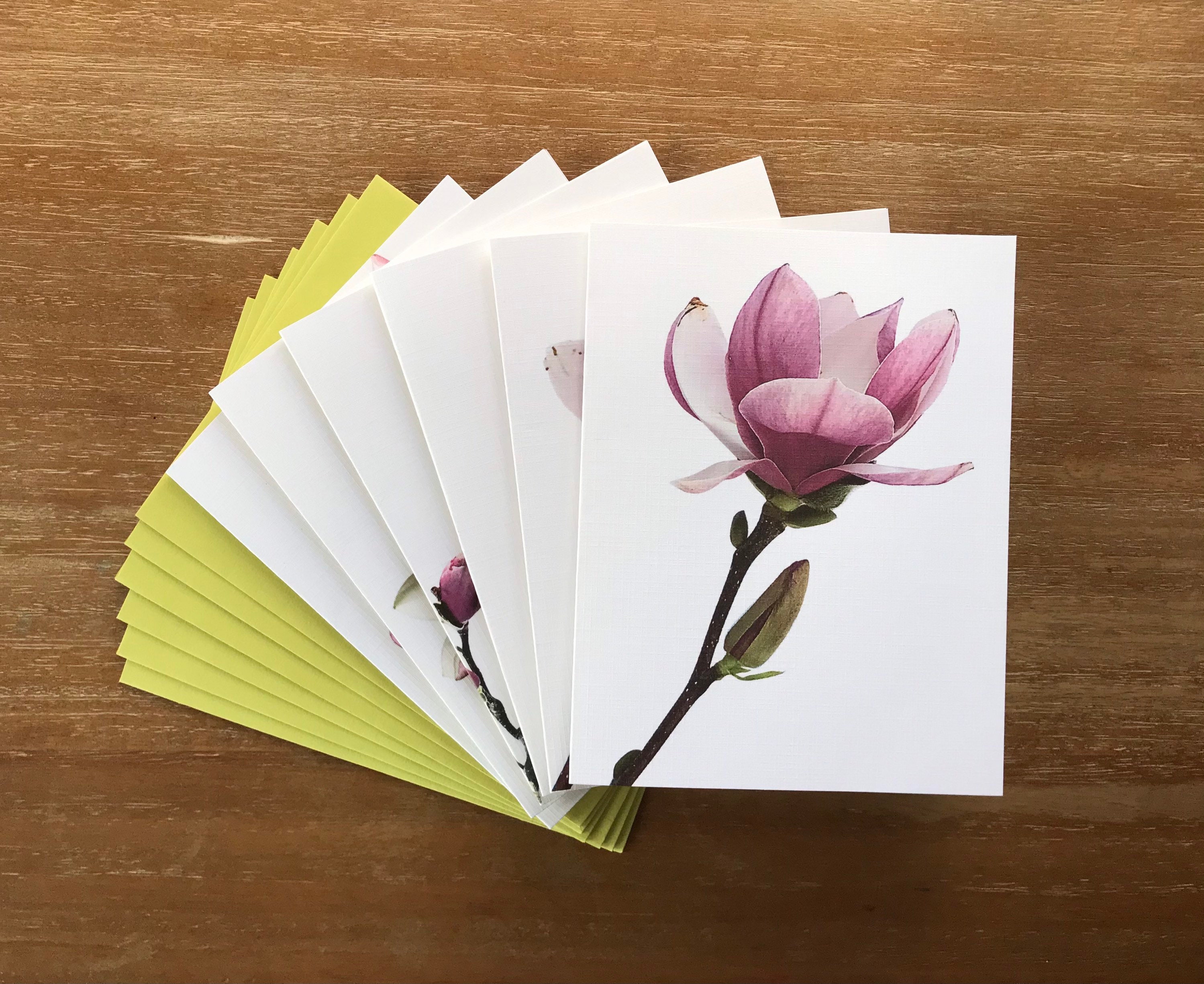 Magonlia Blank Notecards Set of 6 and Corresponding Envelopes by Katy ...