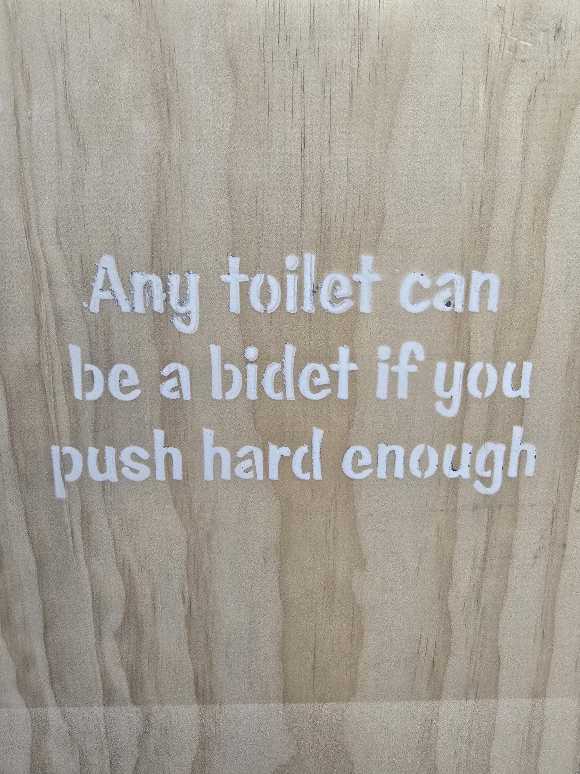 Bathroom Decor Bathroom Sign Funny Sign Toilet Bidet Humor Gift - Etsy