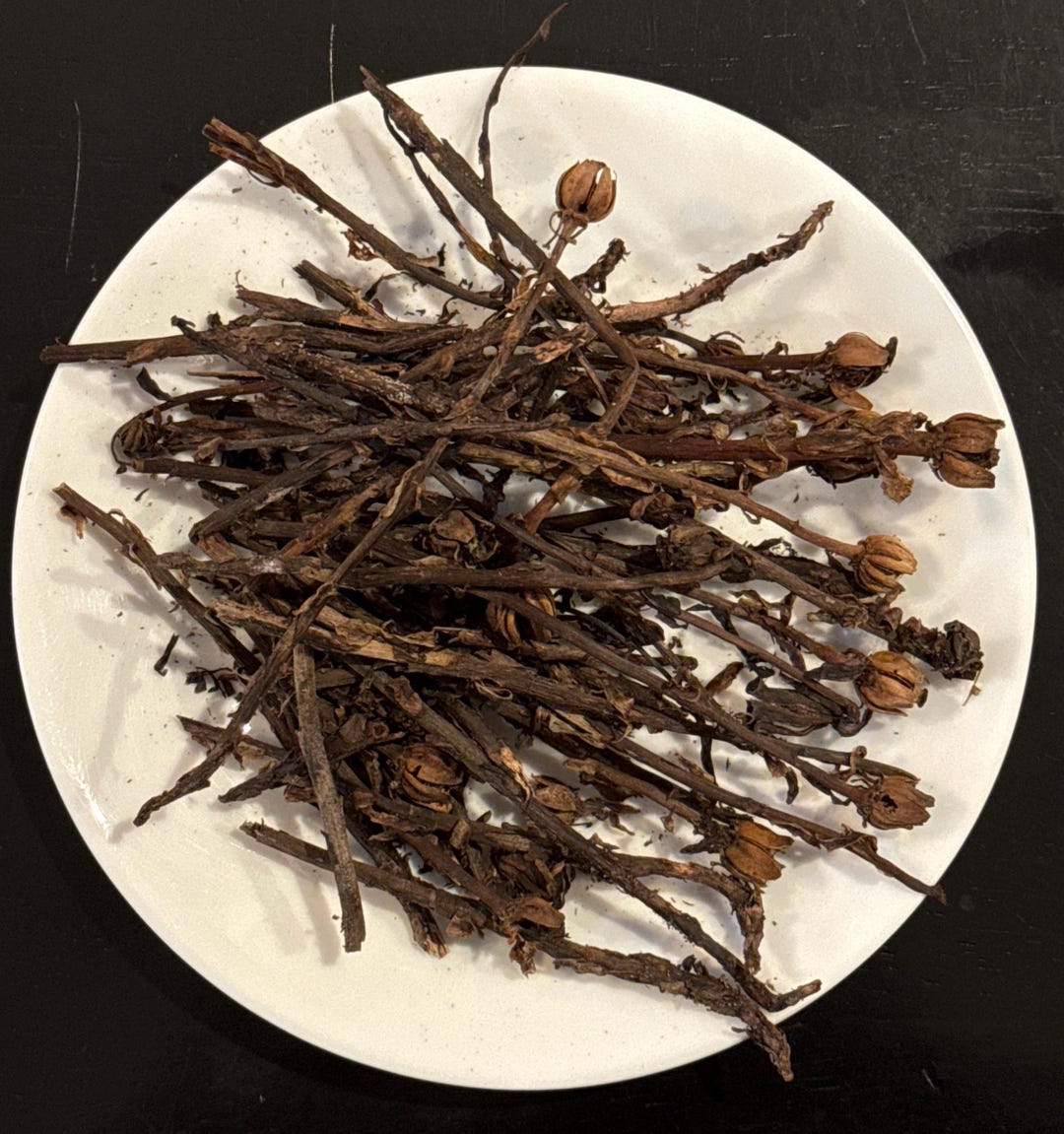 Ghost Pipe (monotropa Uniflora), Dried Organic - Etsy