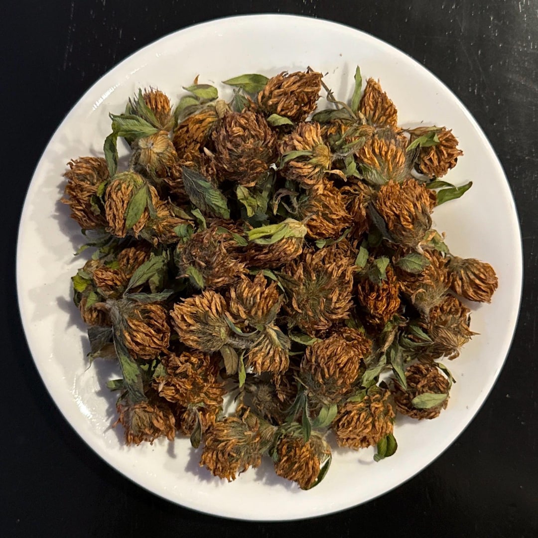 Red Clover Flowers | Hand Picked | Dried Organic - Etsy