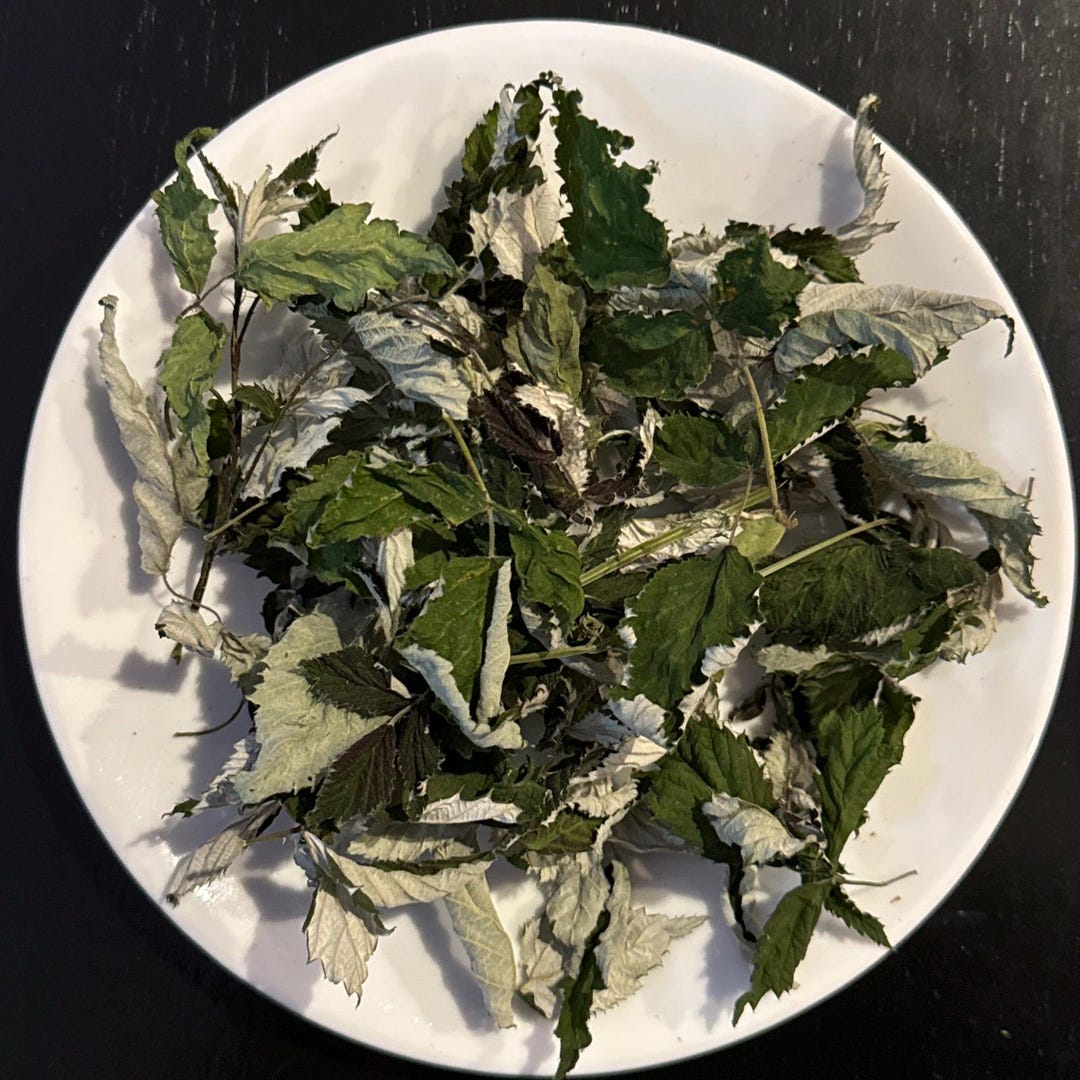 Red Raspberry Leaves, Dried Organic - Etsy