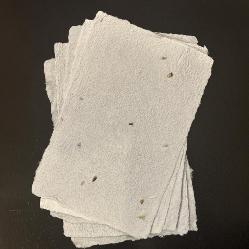 Seed Paper - Etsy