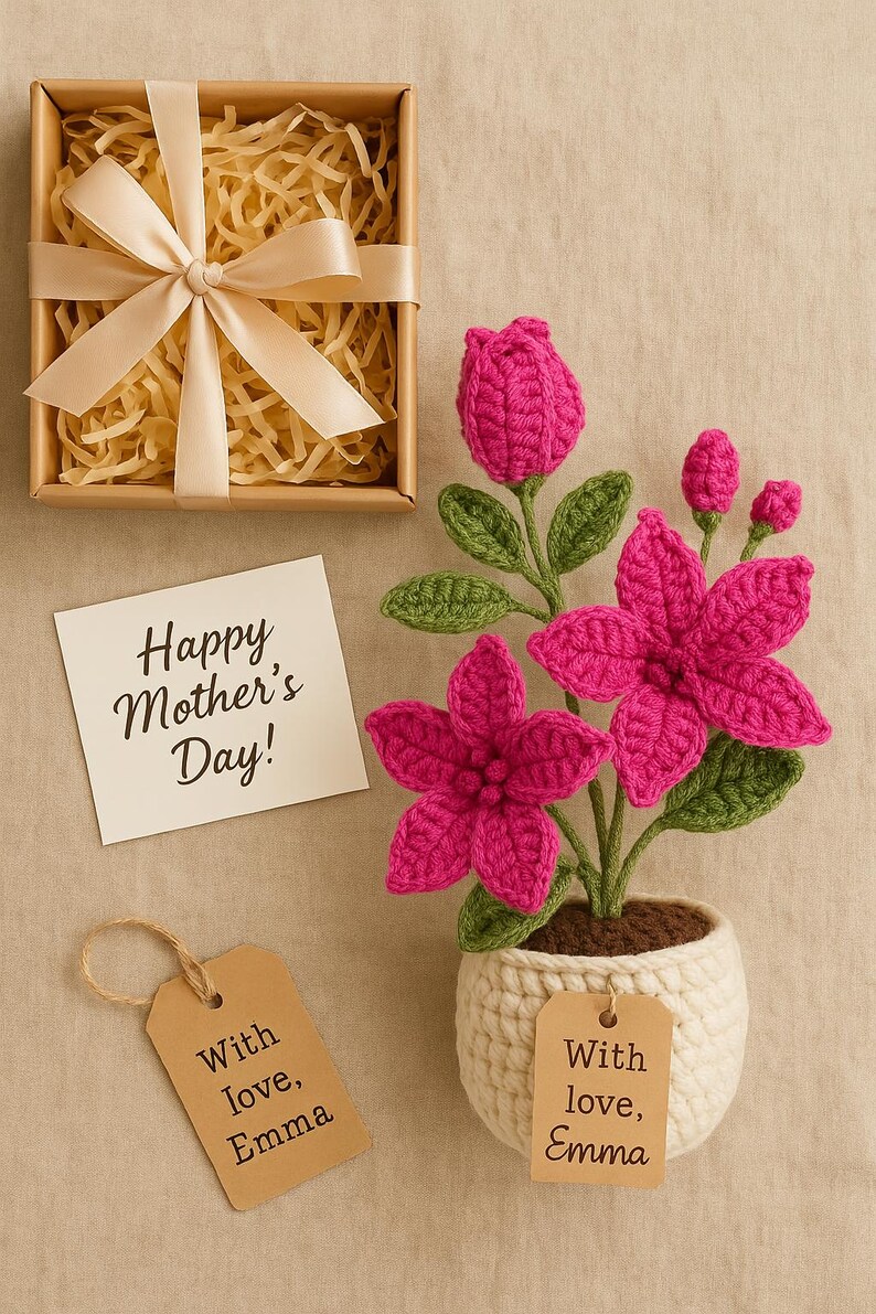 Handmade Crochet Flower Pot Gift, Personalized Bloom Decor - Etsy