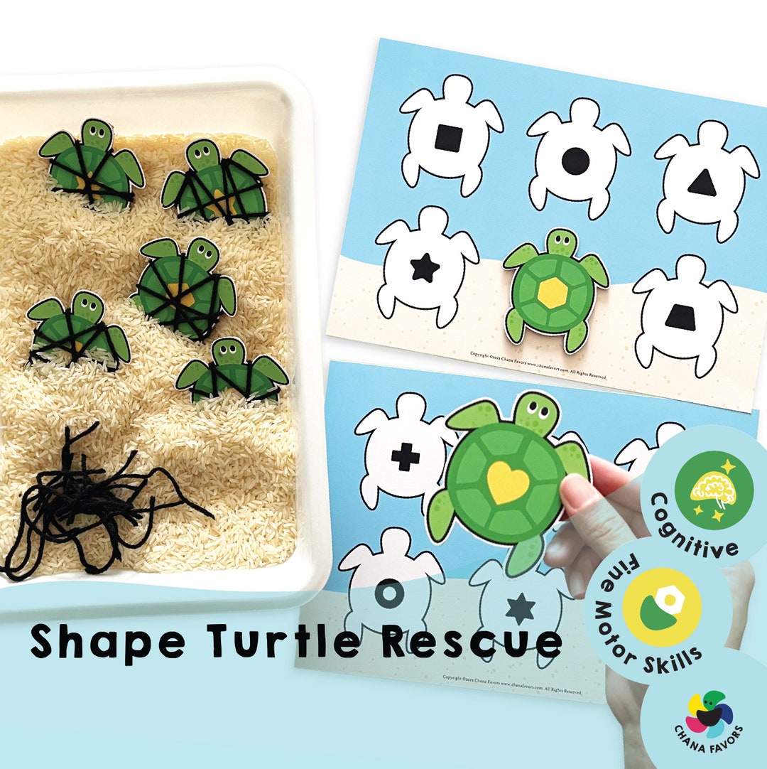 Shape Turtle Rescue Game: Printable Cognitive Skills Activity (PDF) - Etsy