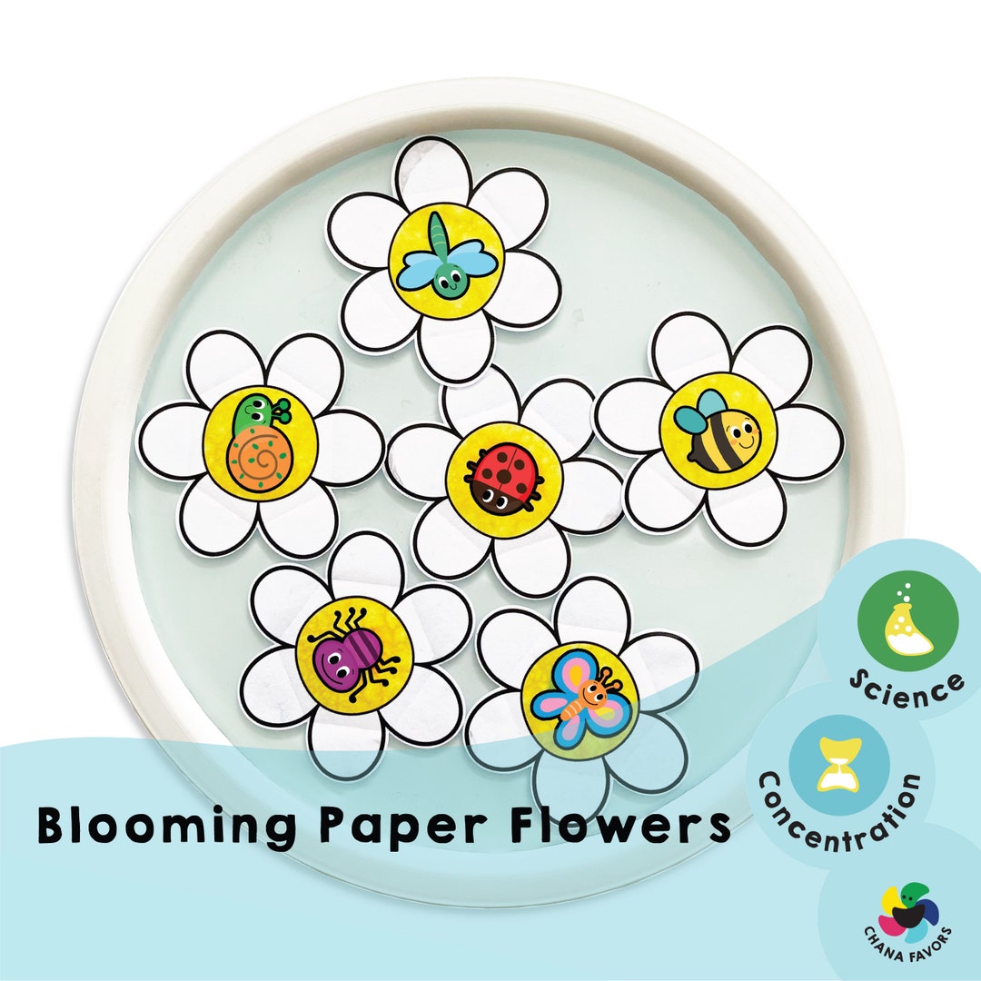 Blooming Paper Flowers: Kids Science Activity (printable PDF) - Etsy