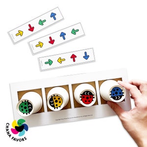 Directional Ladybugs Game: Spatial Reasoning Activity (printable PDF ...