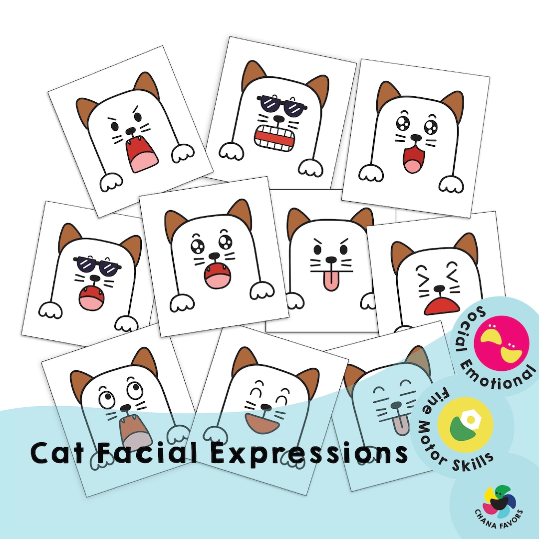 Cat Facial Expressions Printable: Preschool Emotion Learning (PDF ...