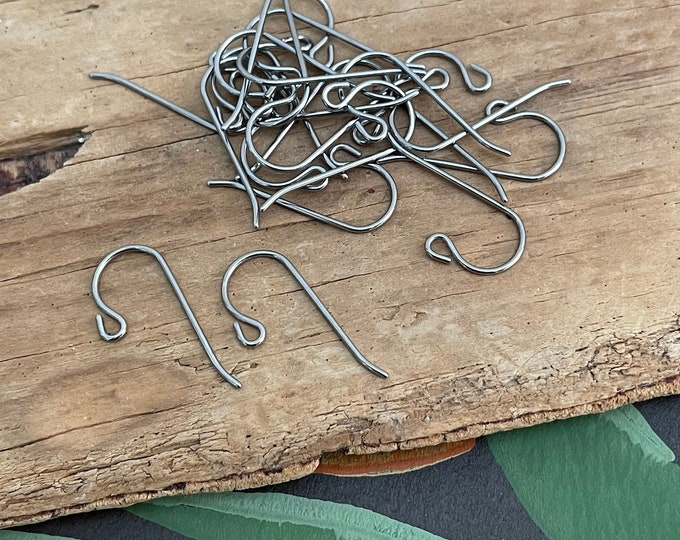 Slender Titanium Earring Hooks - 10 Pairs Hypo Allergenic, Nickel-free ...