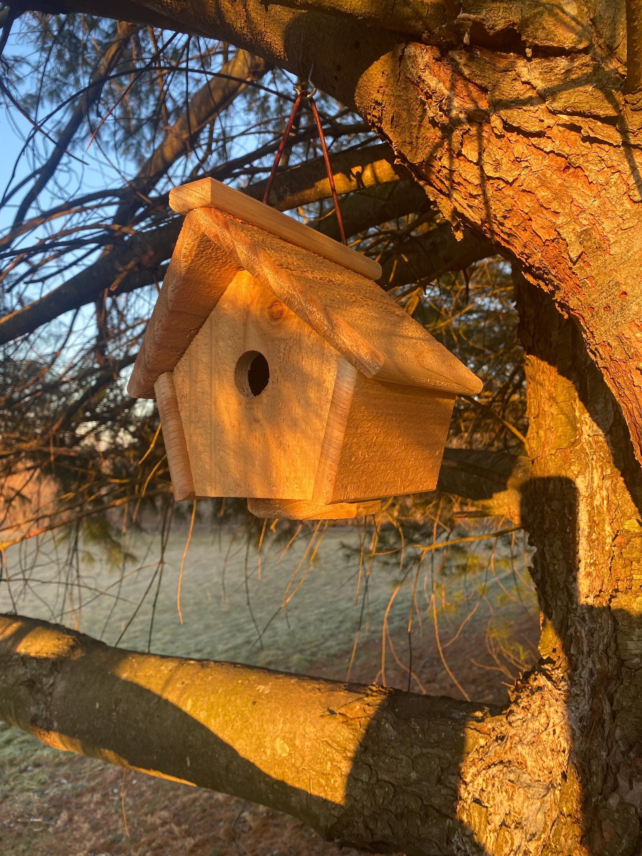 Wren House - Handmade Cedar Wren Birdhouse. - Etsy