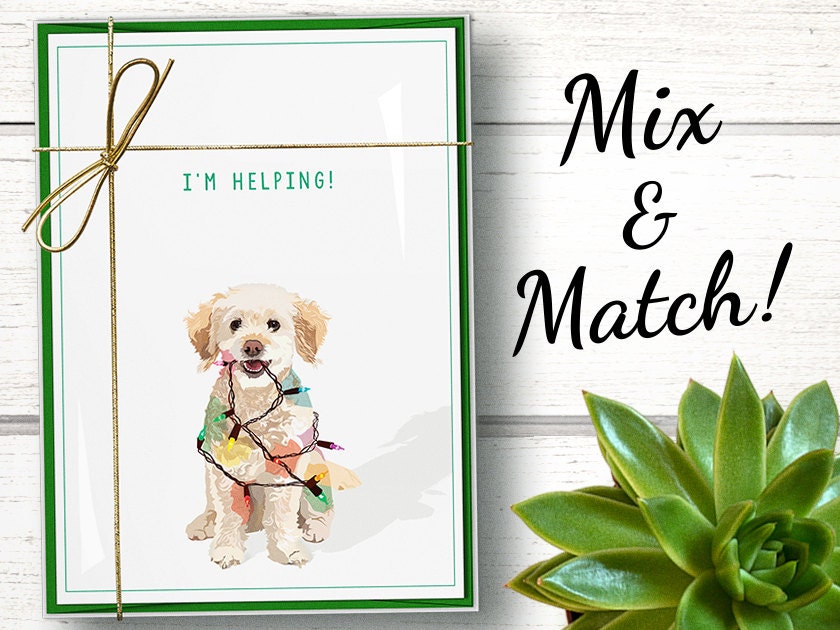 funny-dog-christmas-cards-boxed-set-of-15-funny-dog-holiday-etsy