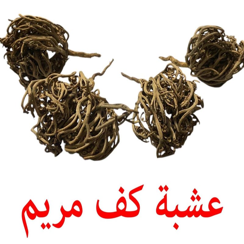 Marjem Kat Bb Gifts - 60+ Gift Ideas for 2025