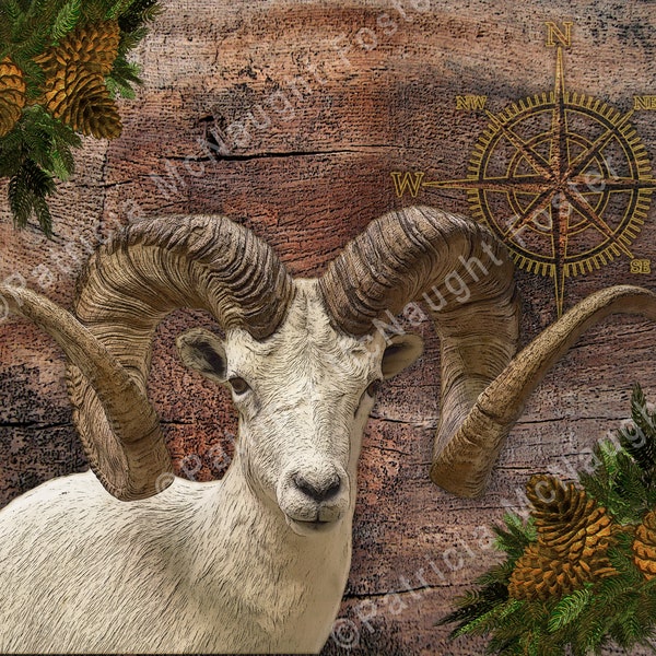 Dall Sheep - Etsy