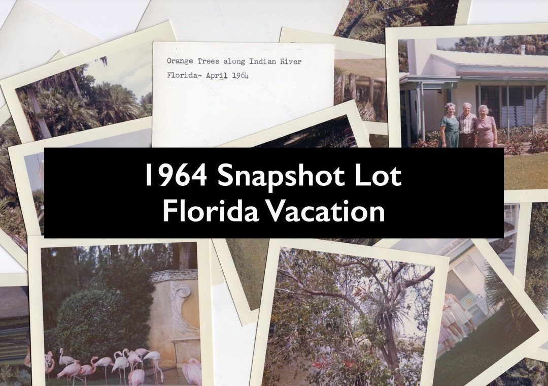 19 Vintage Snapshots 1964 Florida Vacation Found Estate Photos 1960s ...