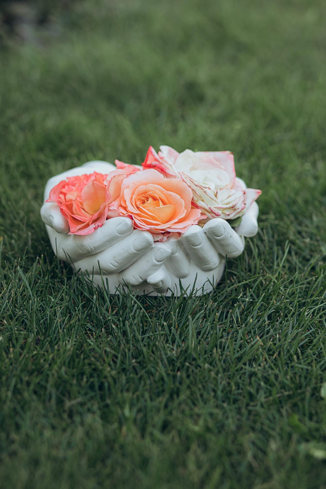 A Stylish Plaster Planter - Etsy